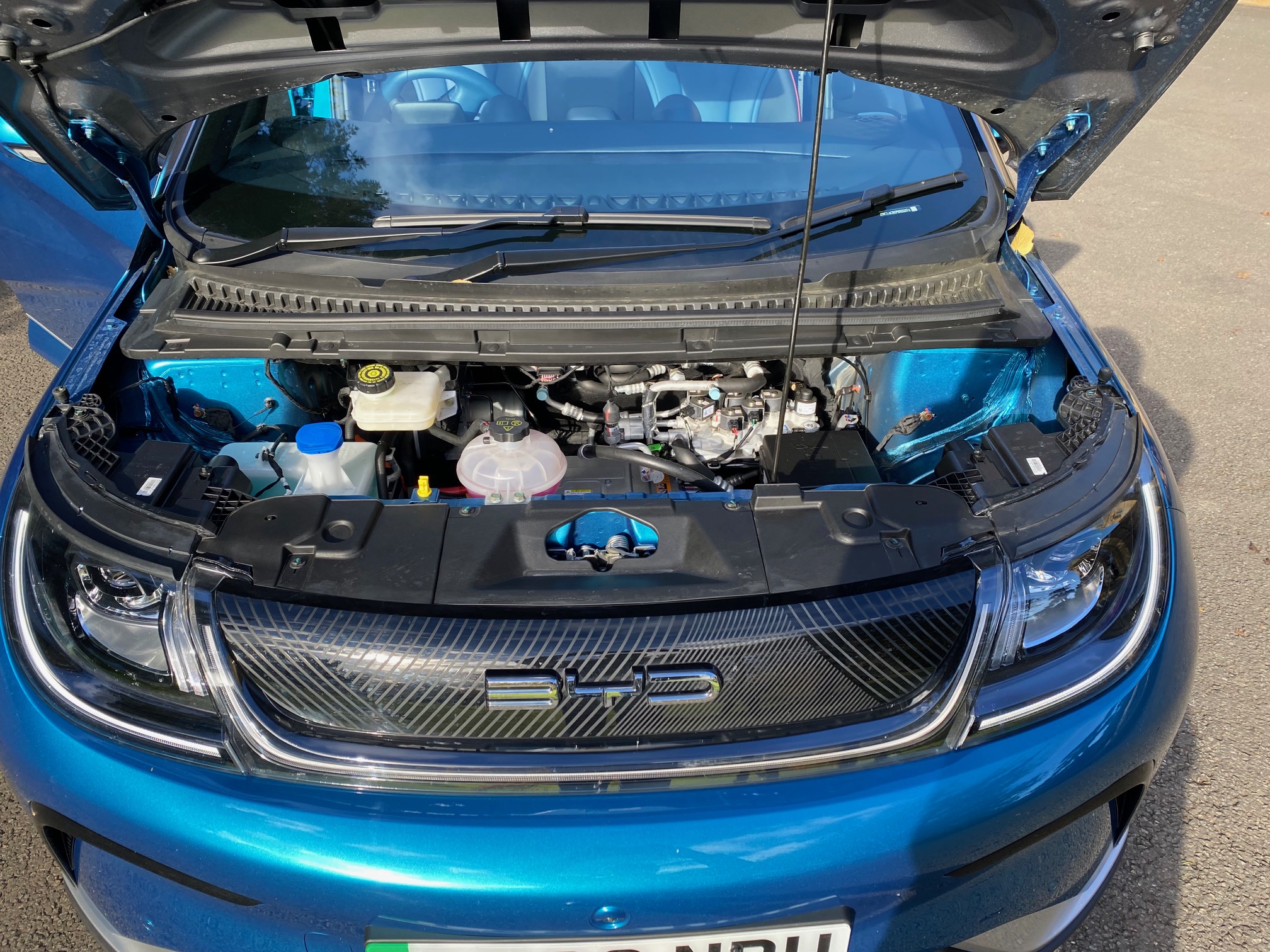 First drive: BYD Dolphin Design – Wheels Within Wales